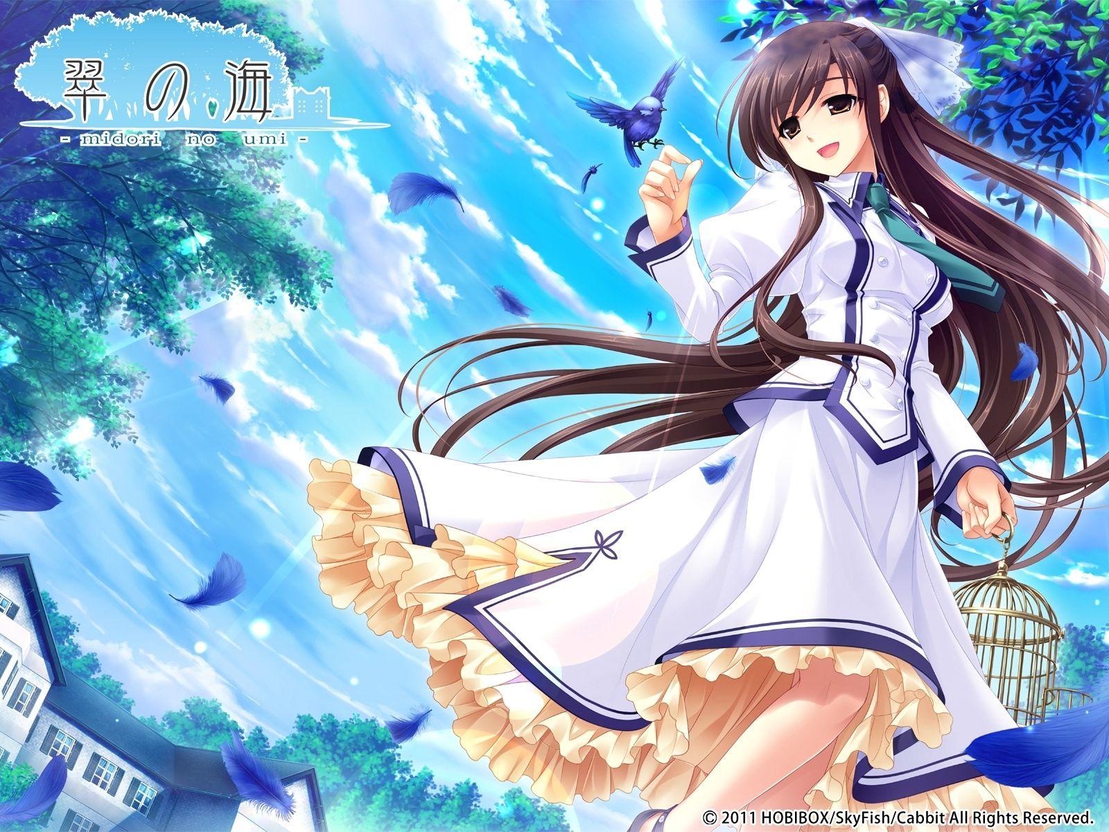 Midori Wallpapers - Wallpaper Cave