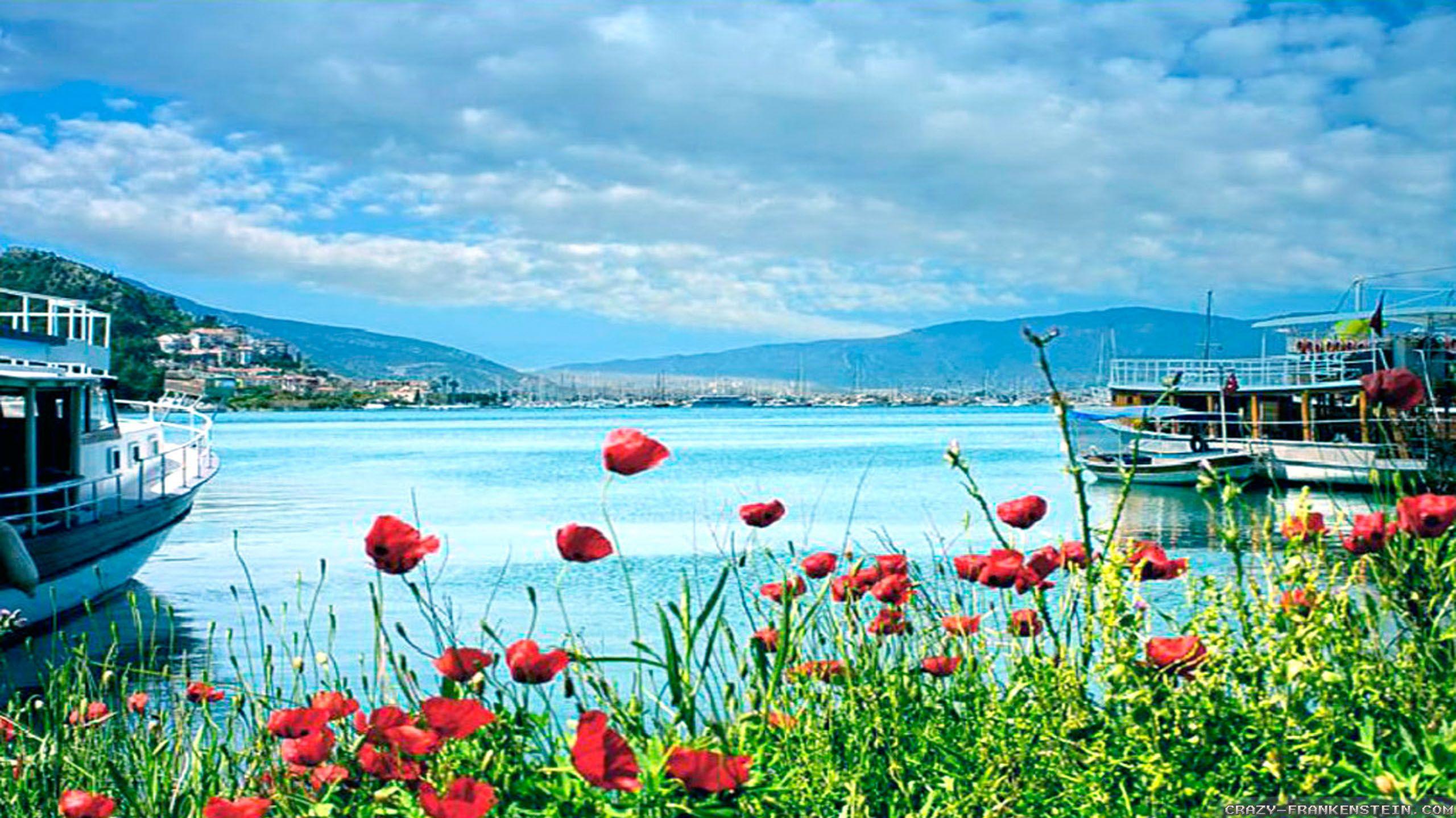 Geneva Wallpapers - Wallpaper Cave