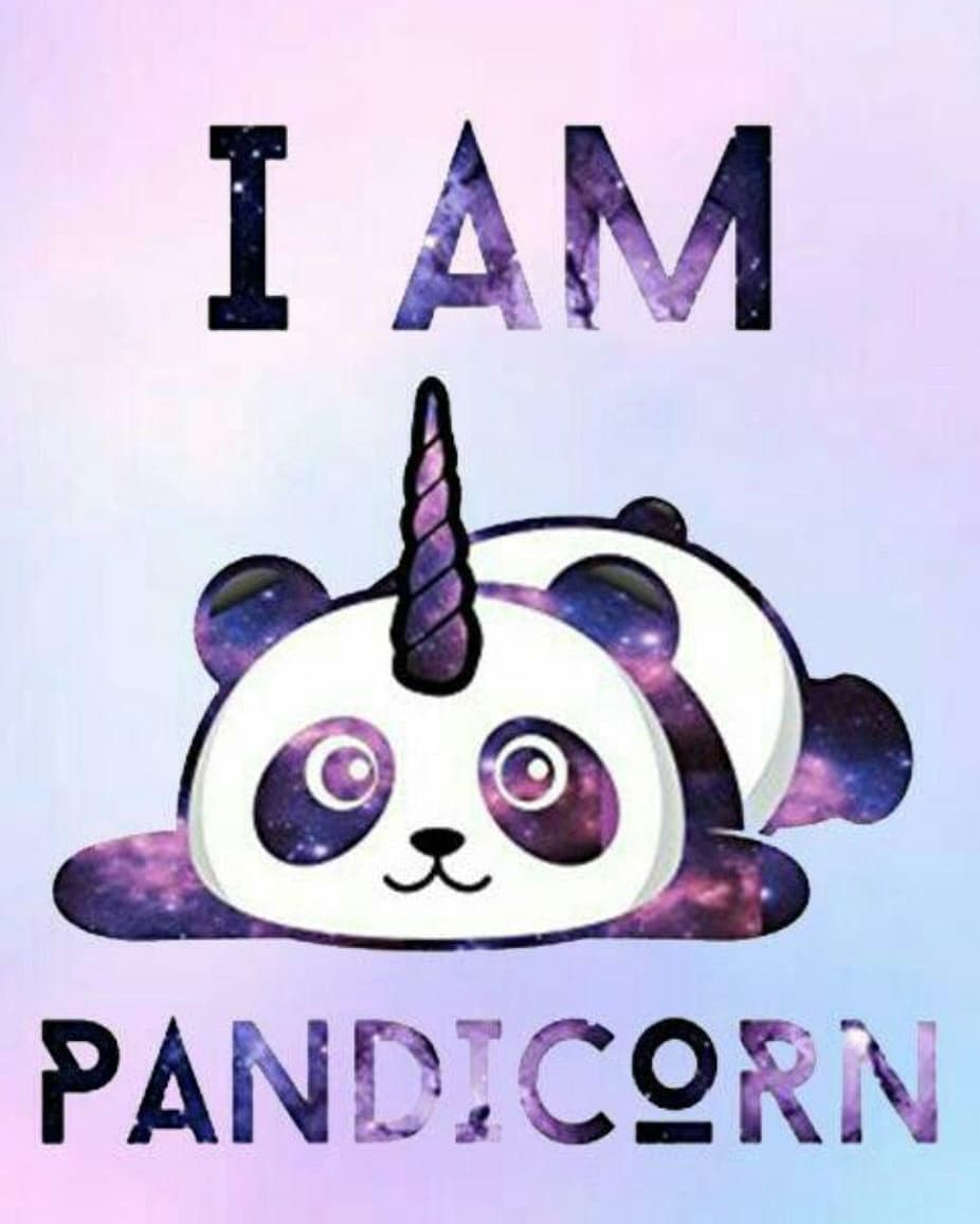 Pandacorn Wallpapers - Wallpaper Cave