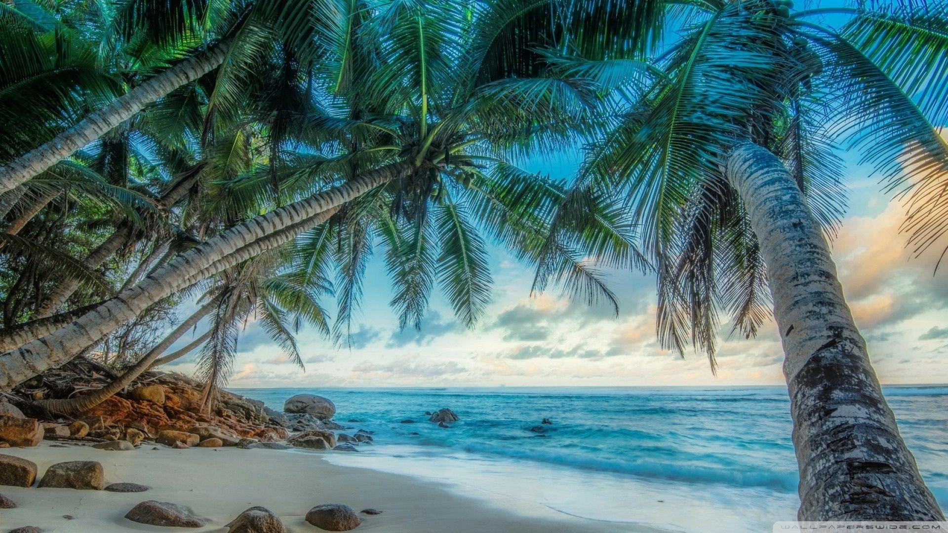 Sight Wallpapers - Wallpaper Cave