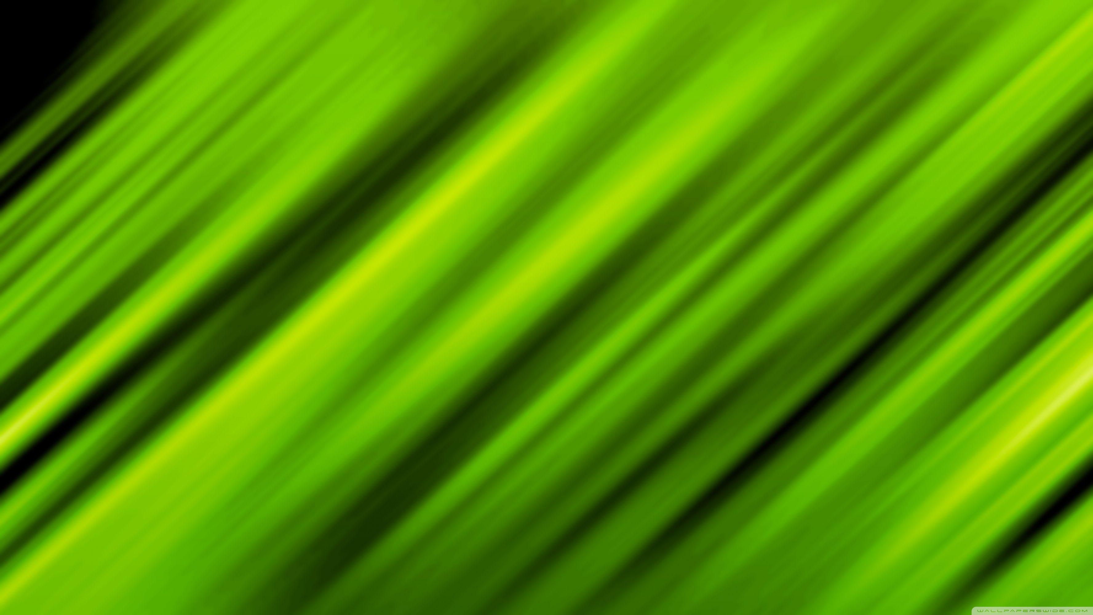 Leafy Wallpapers - Wallpaper Cave