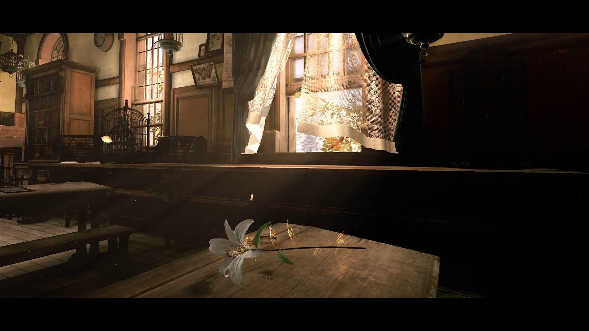 Déraciné Wallpapers - Wallpaper Cave