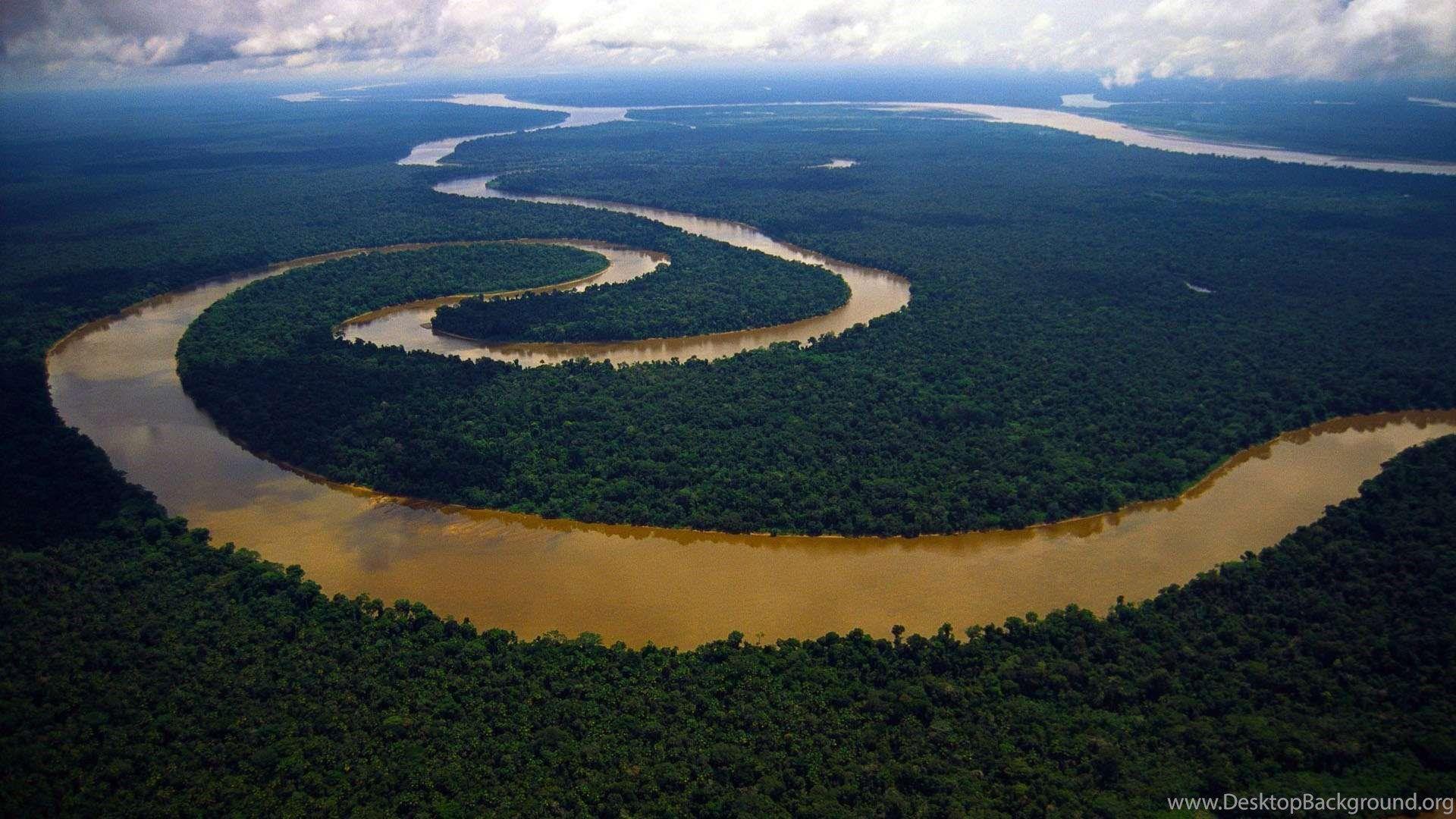 Amazonia Wallpapers - Wallpaper Cave