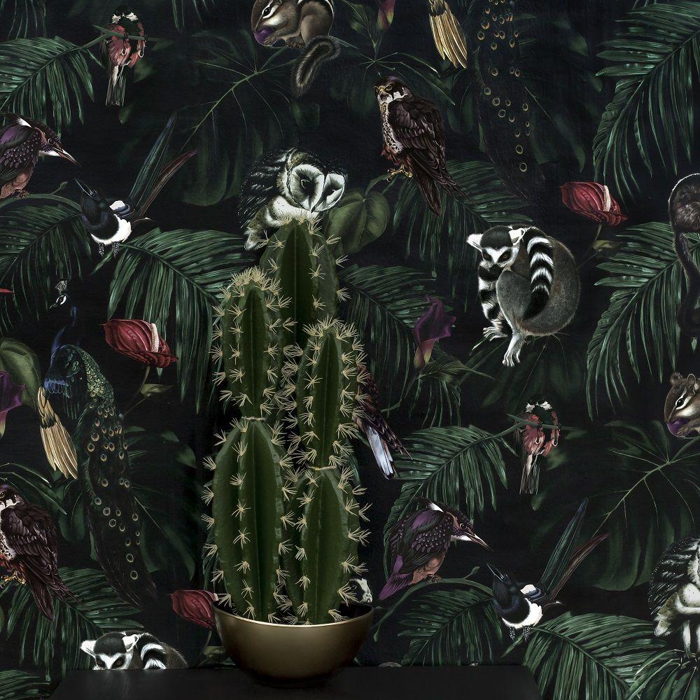 Amazonia Wallpapers - Wallpaper Cave