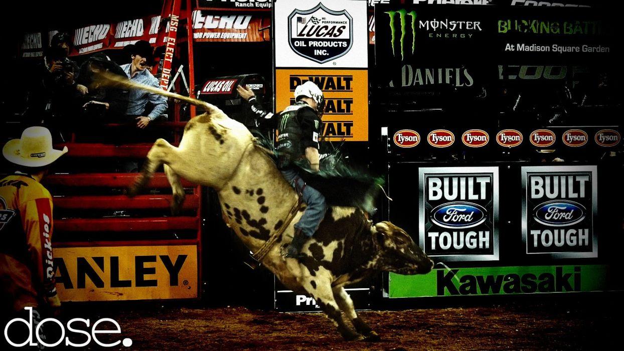 Bull Rider Wallpapers - Wallpaper Cave