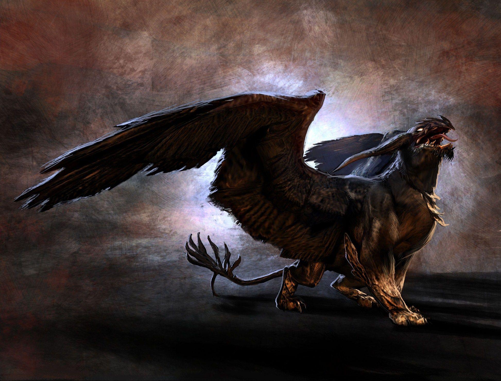Griffin Animal Wallpapers - Wallpaper Cave