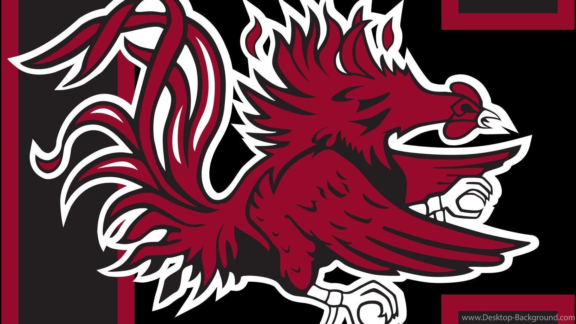 South Carolina Gamecocks Football Wallpapers - Wallpaper Cave