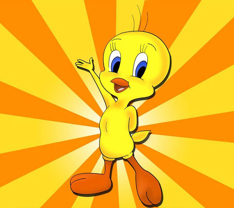 Tweety Bird Wallpapers - Wallpaper Cave