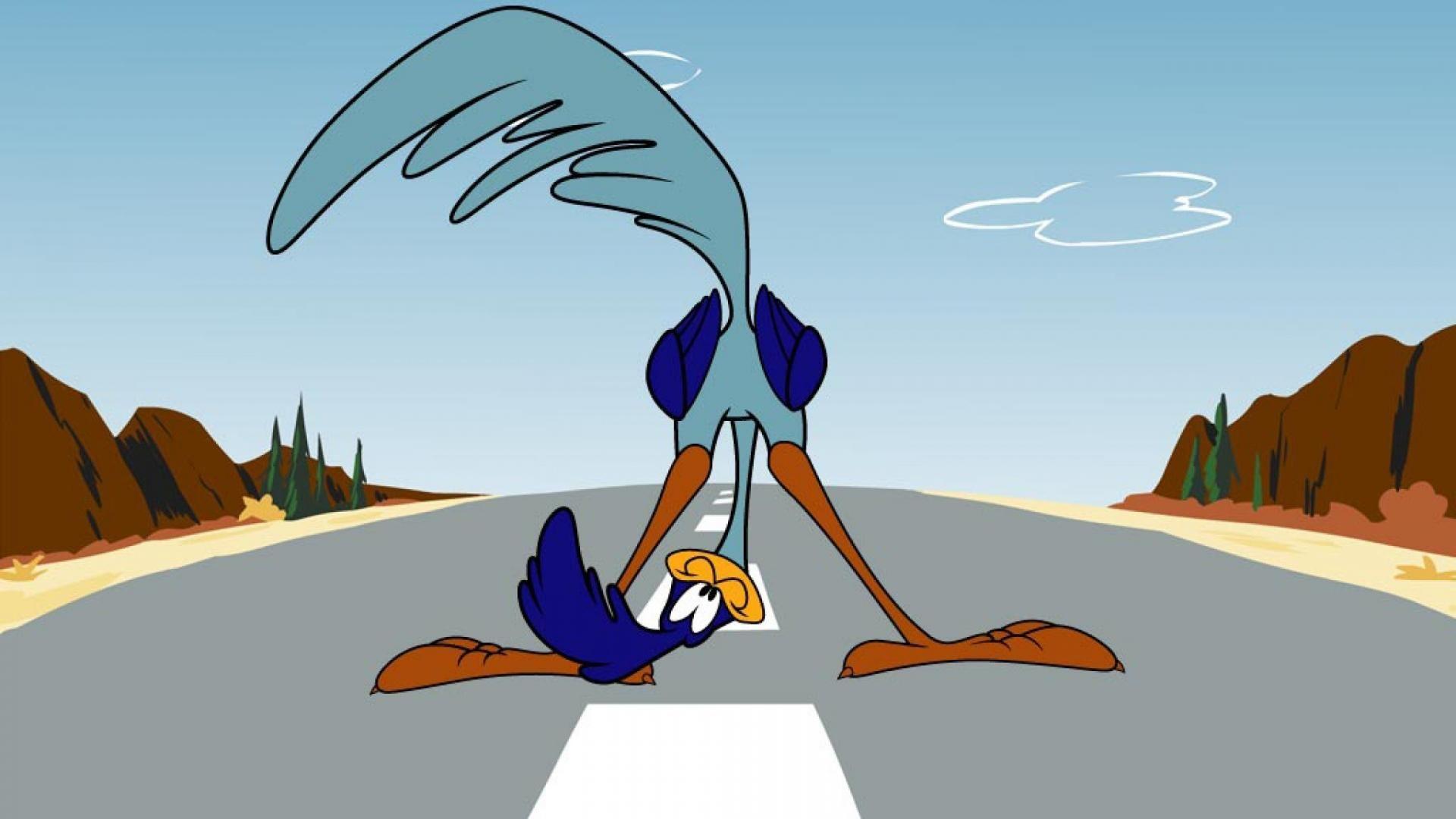 Roadrunners Wallpapers - Wallpaper Cave