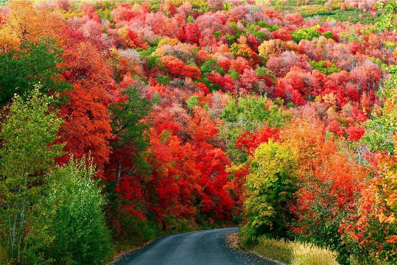 Slope Wallpapers - Wallpaper Cave