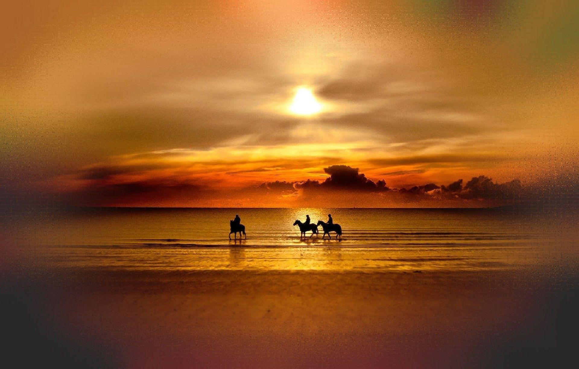Horses At Sunset Wallpapers - Wallpaper Cave