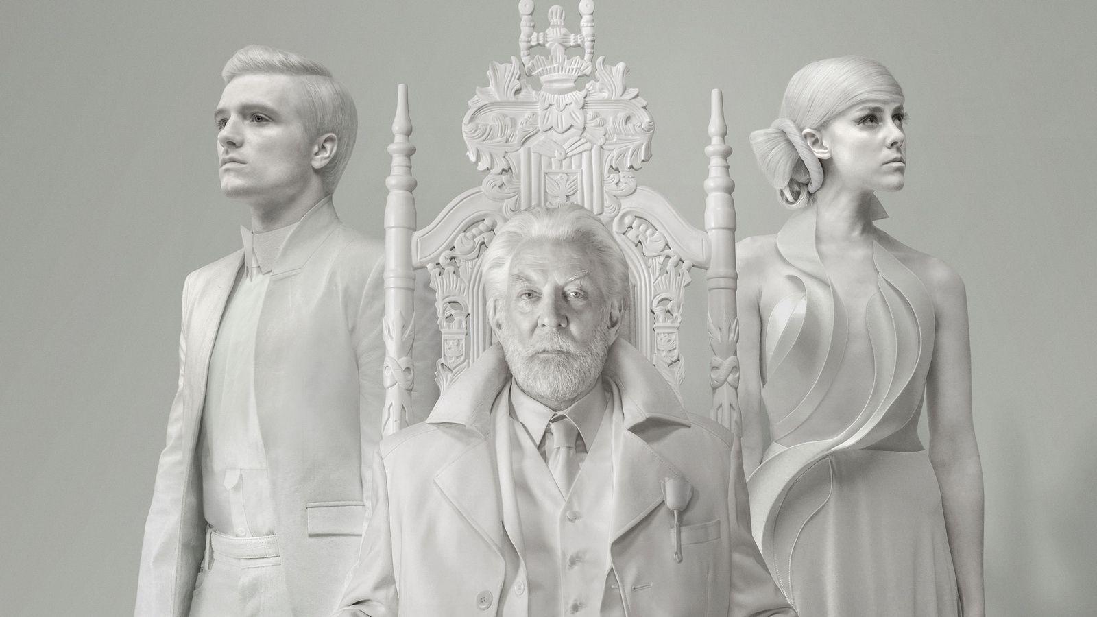 Mockingjay Wallpapers - Wallpaper Cave