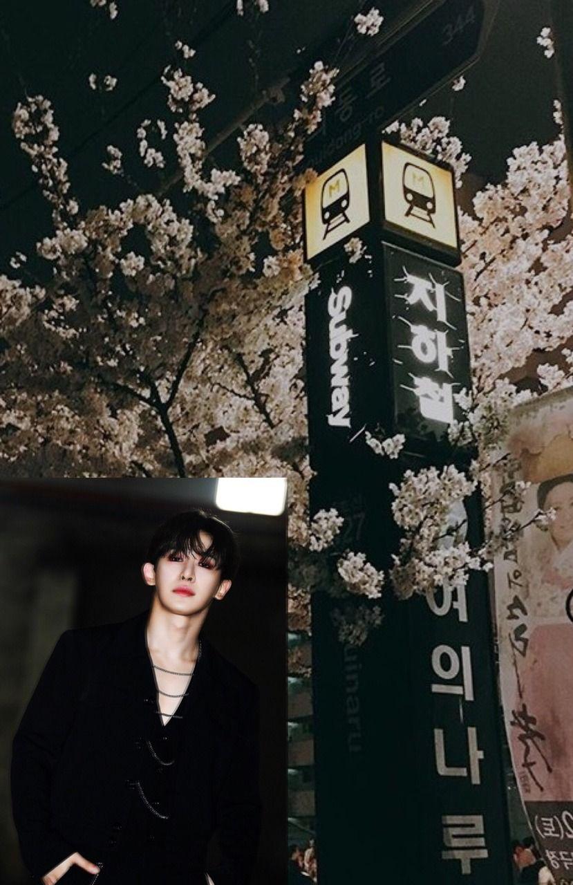 Wonho Wallpapers - Wallpaper Cave