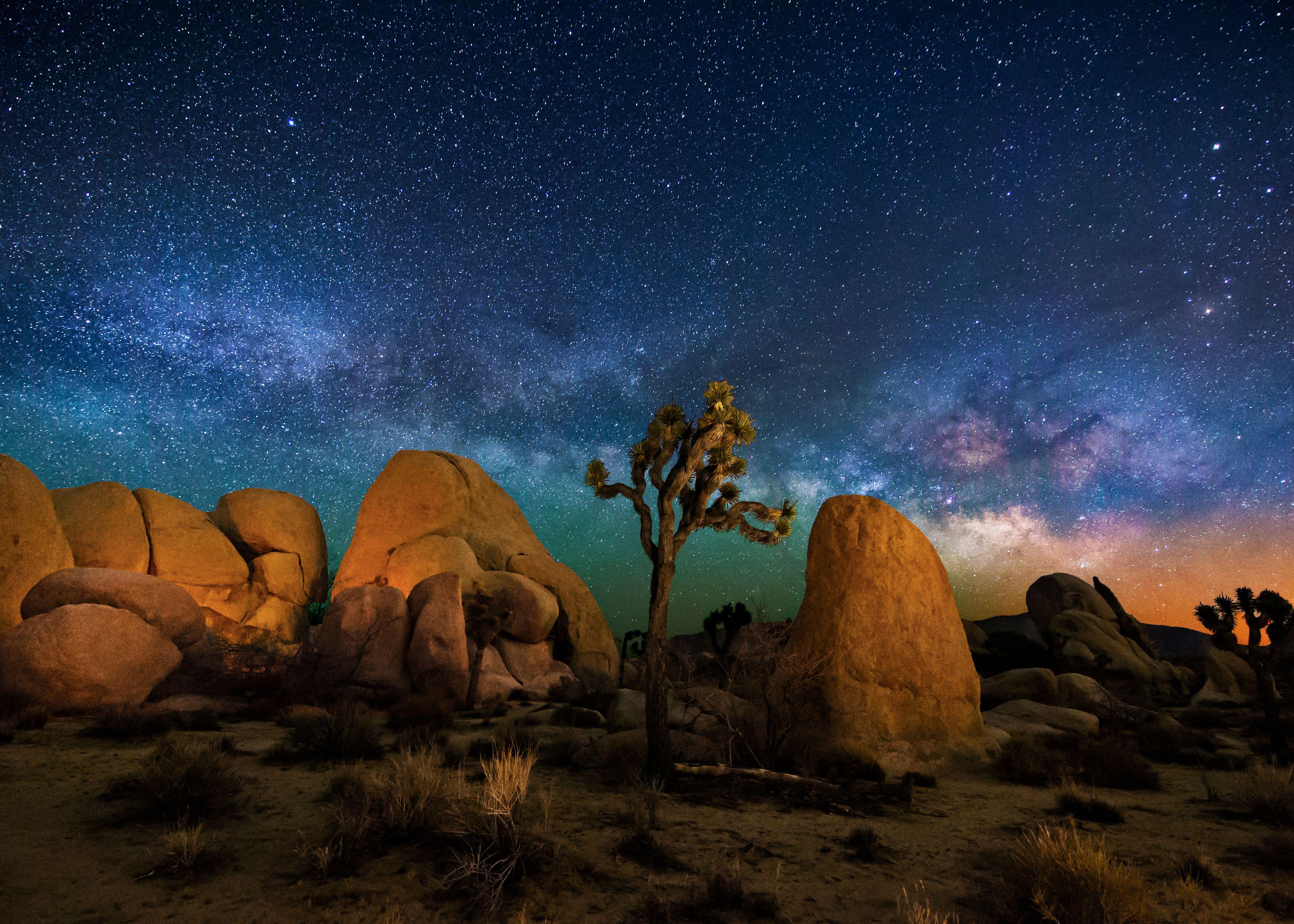 Joshua Tree Wallpapers Wallpaper Cave