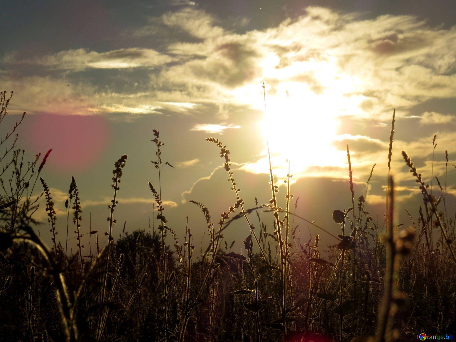 1920px Wallpapers - Wallpaper Cave