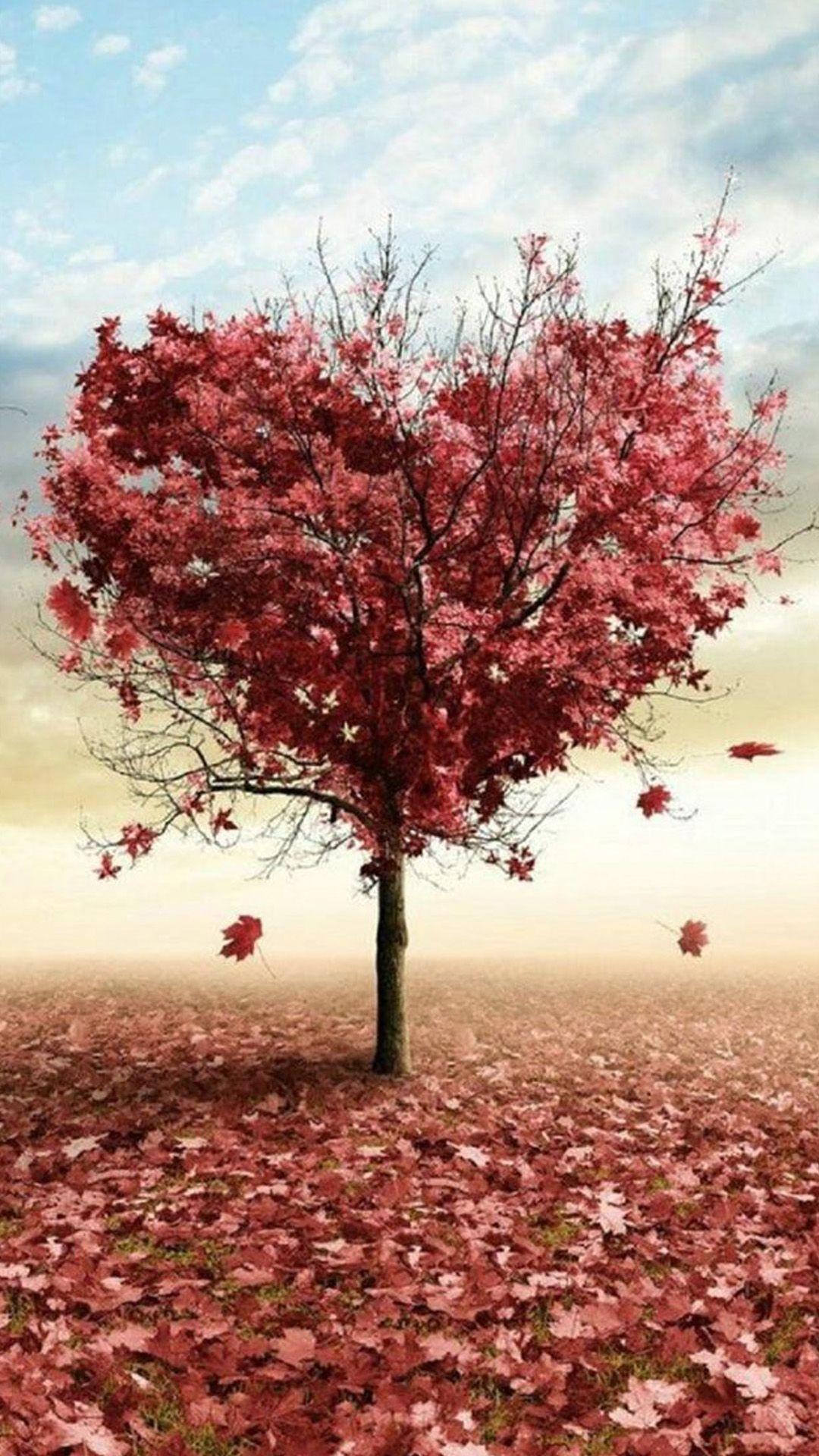 1920px Wallpapers - Wallpaper Cave