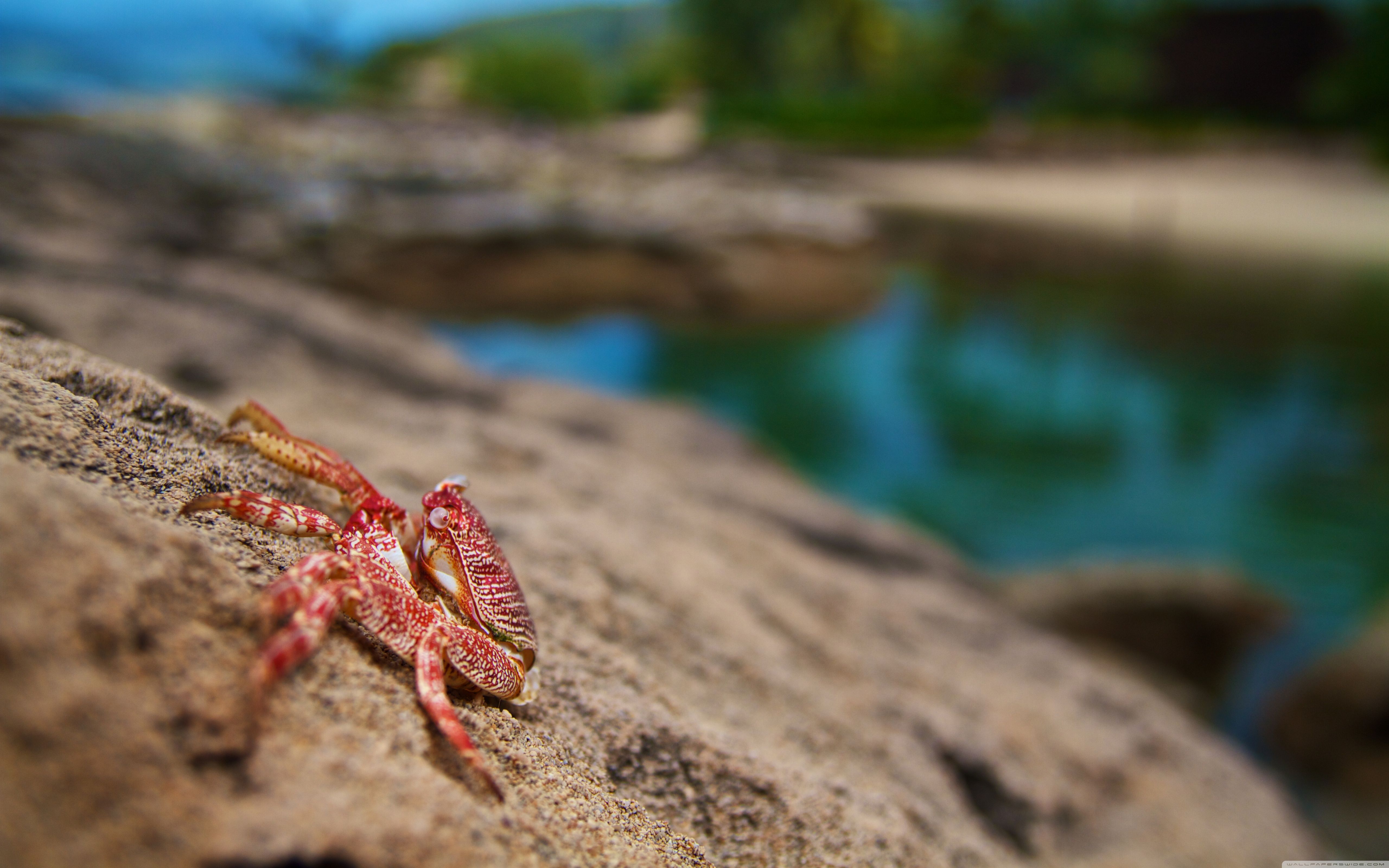 All Types Wallpapers - Wallpaper Cave