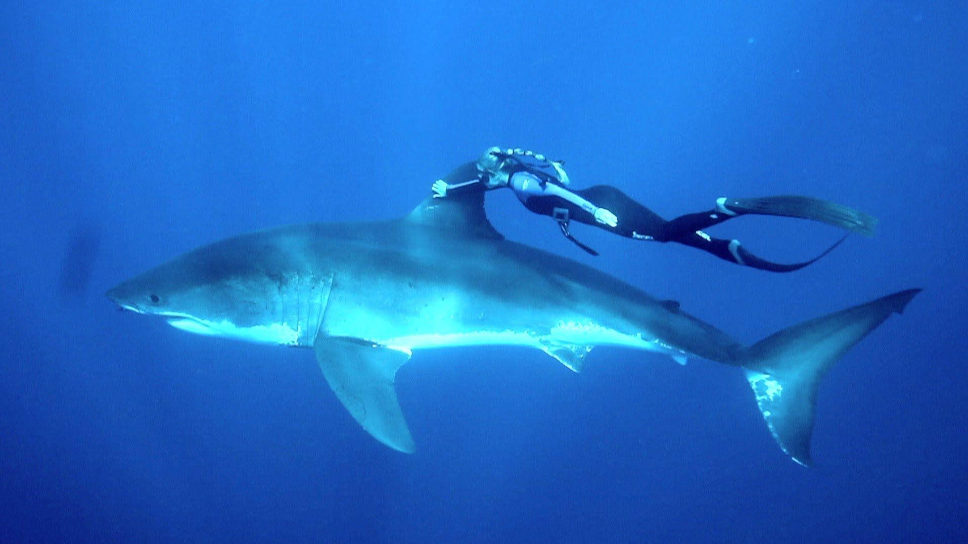 Ocean Ramsey Wallpapers - Wallpaper Cave