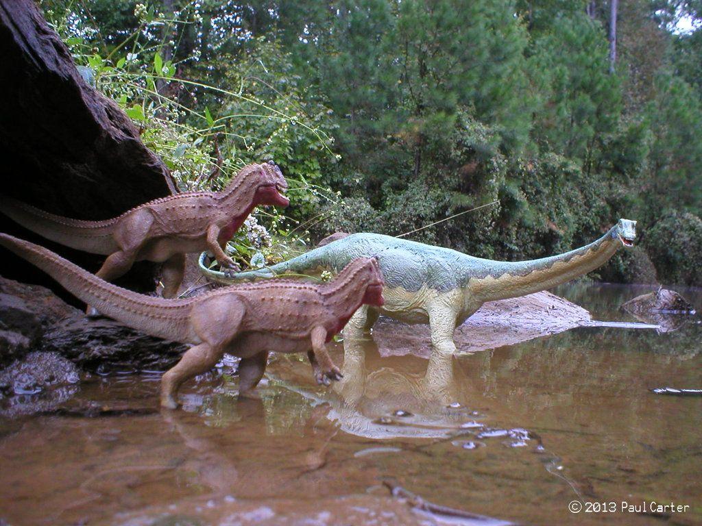 Carnotaurus Wallpapers - Wallpaper Cave