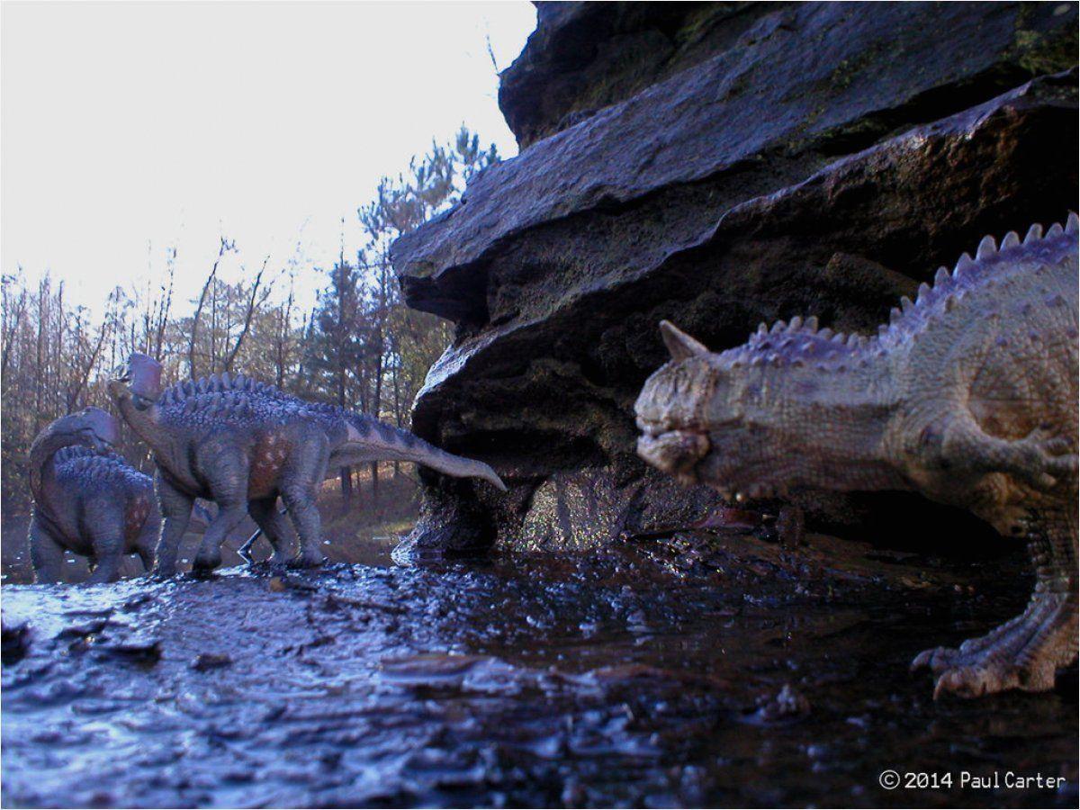 Carnotaurus Wallpapers - Wallpaper Cave