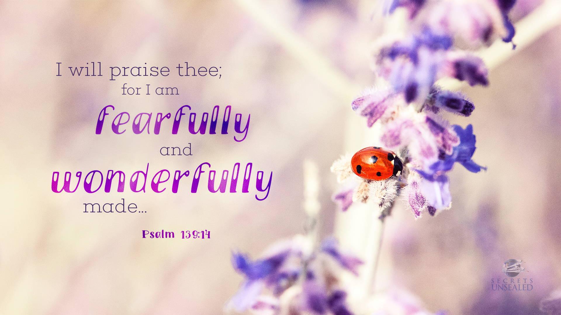 I Am Fearfully And Wonderfully Made Wallpapers - Wallpaper Cave