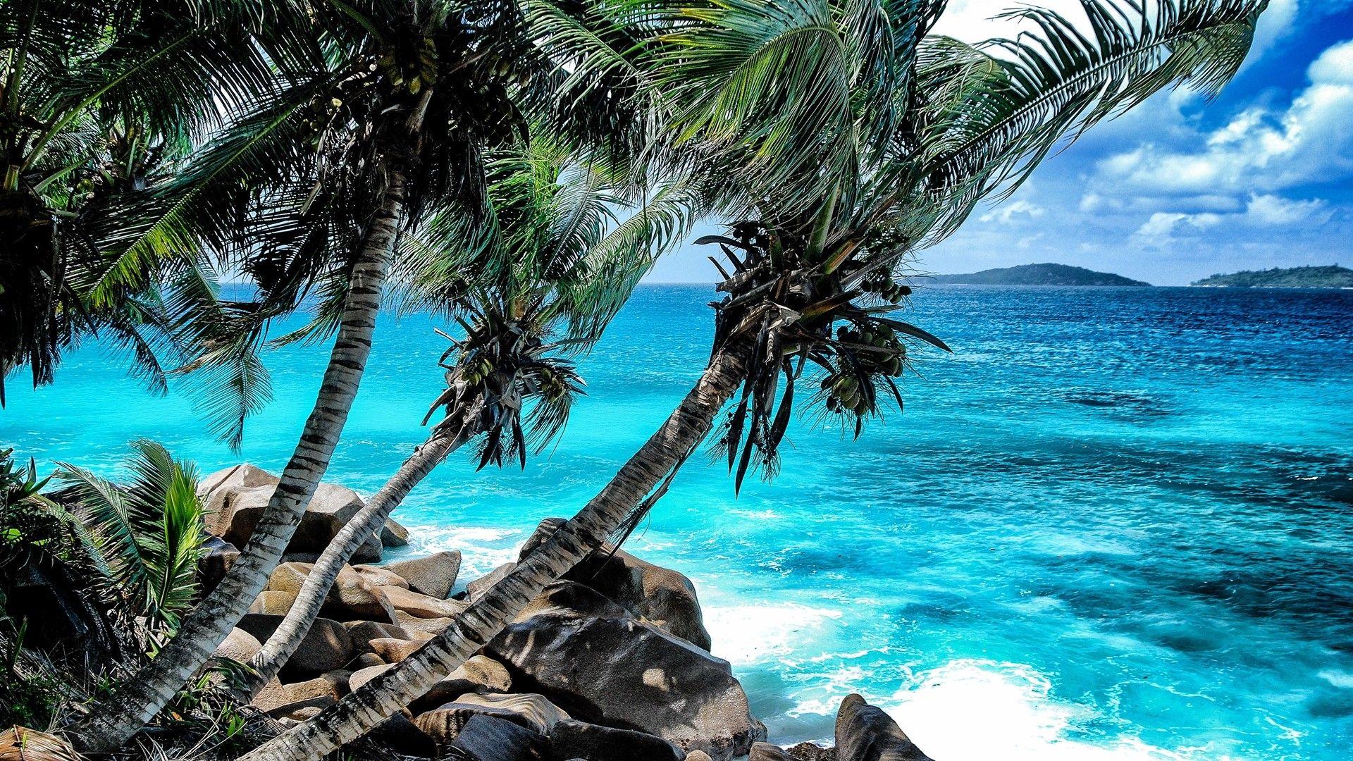 Rarotonga Wallpapers - Wallpaper Cave