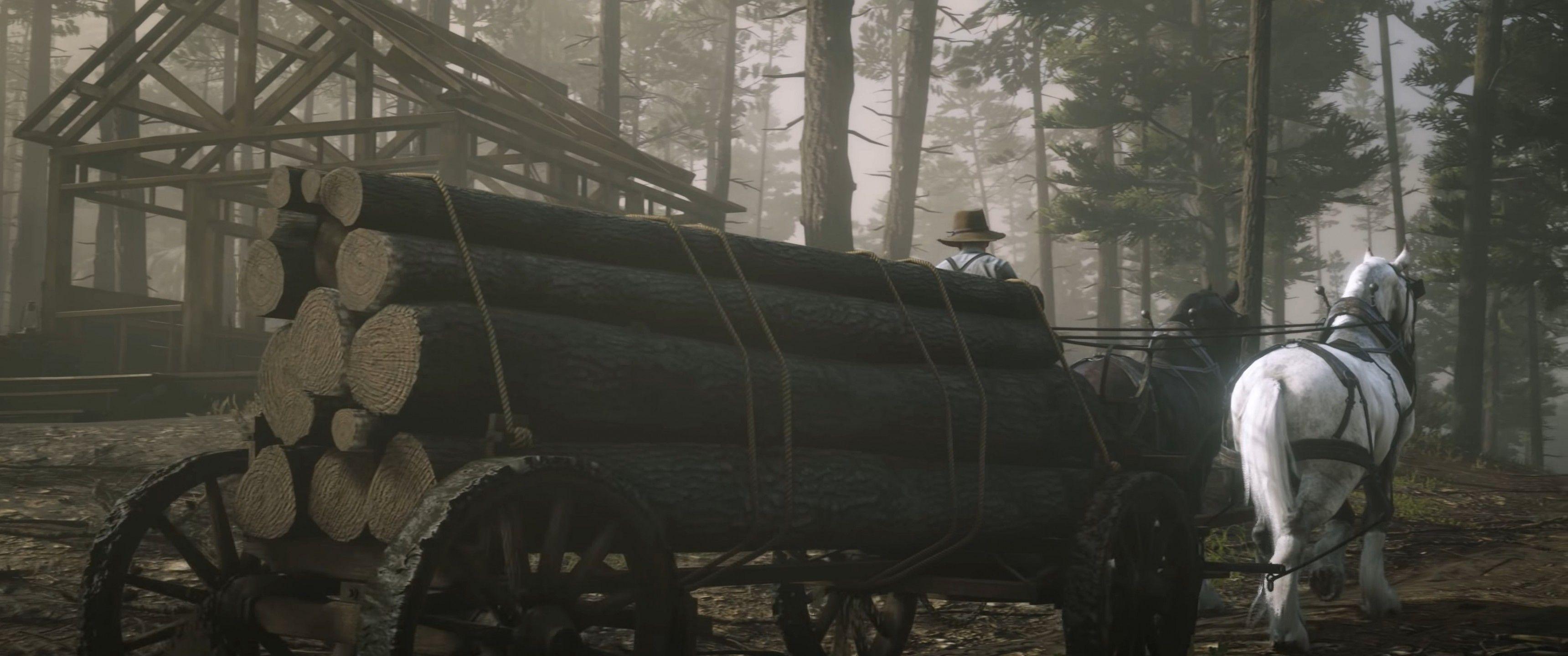 Dead Forest Wallpapers - Wallpaper Cave