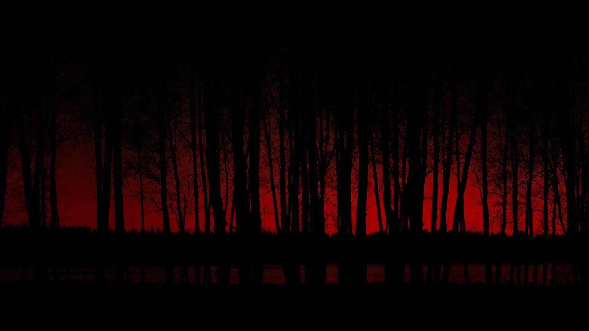 Dead Forest Wallpapers - Wallpaper Cave