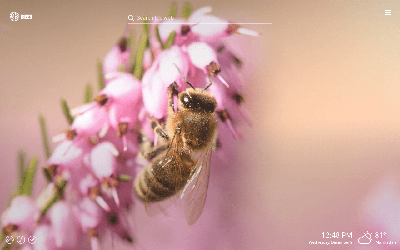 Bee Pollinator Pink Flower Wallpapers - Wallpaper Cave