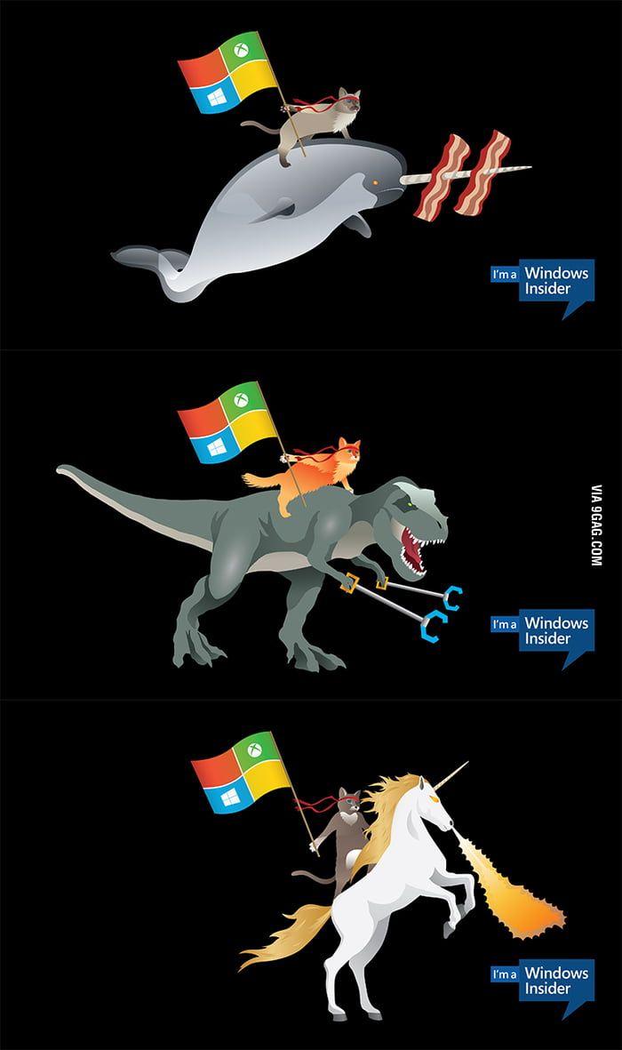 WTF Wallpapers - Wallpaper Cave