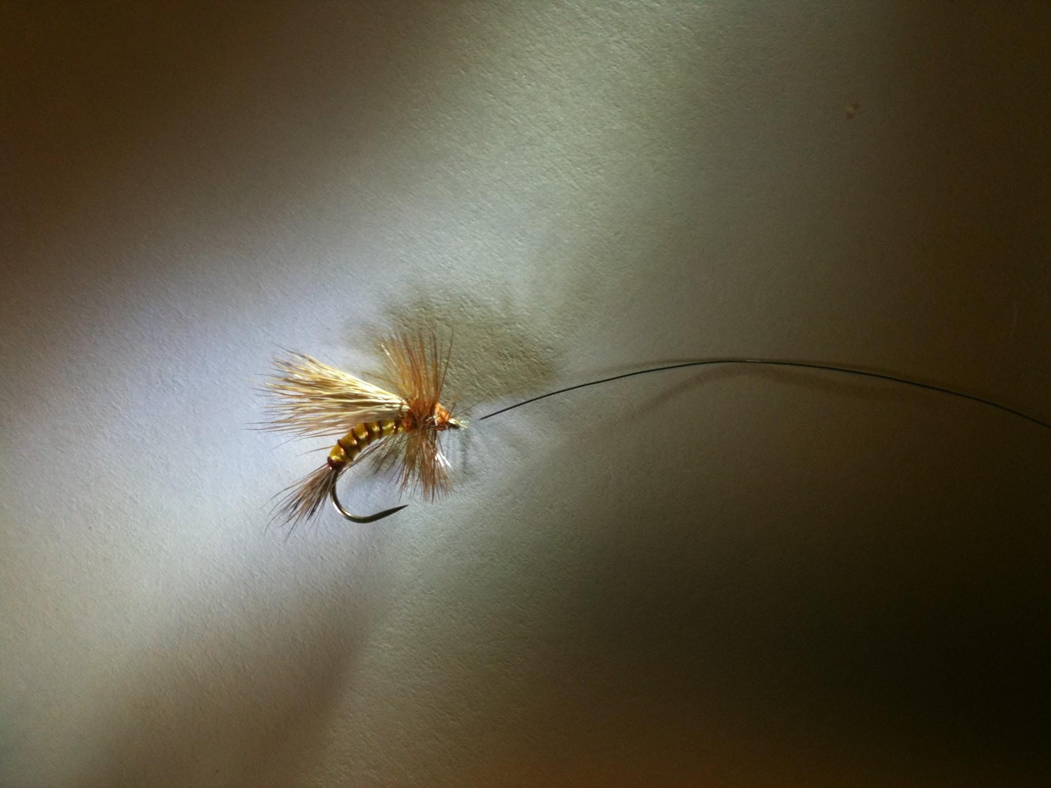 Fly Wallpapers - Wallpaper Cave