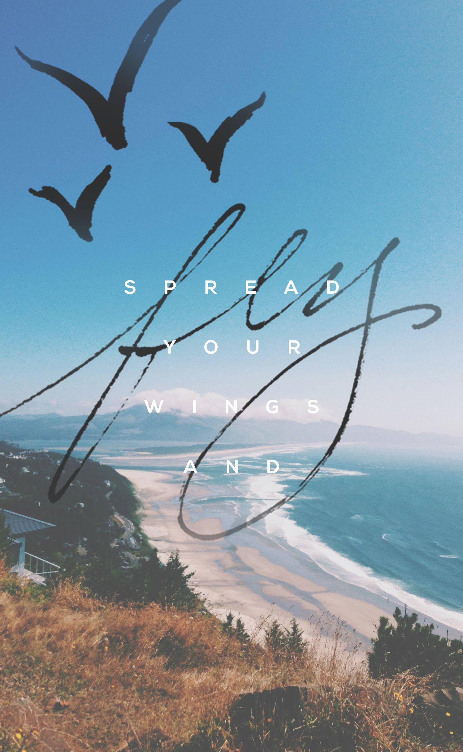 Fly Wallpapers - Wallpaper Cave