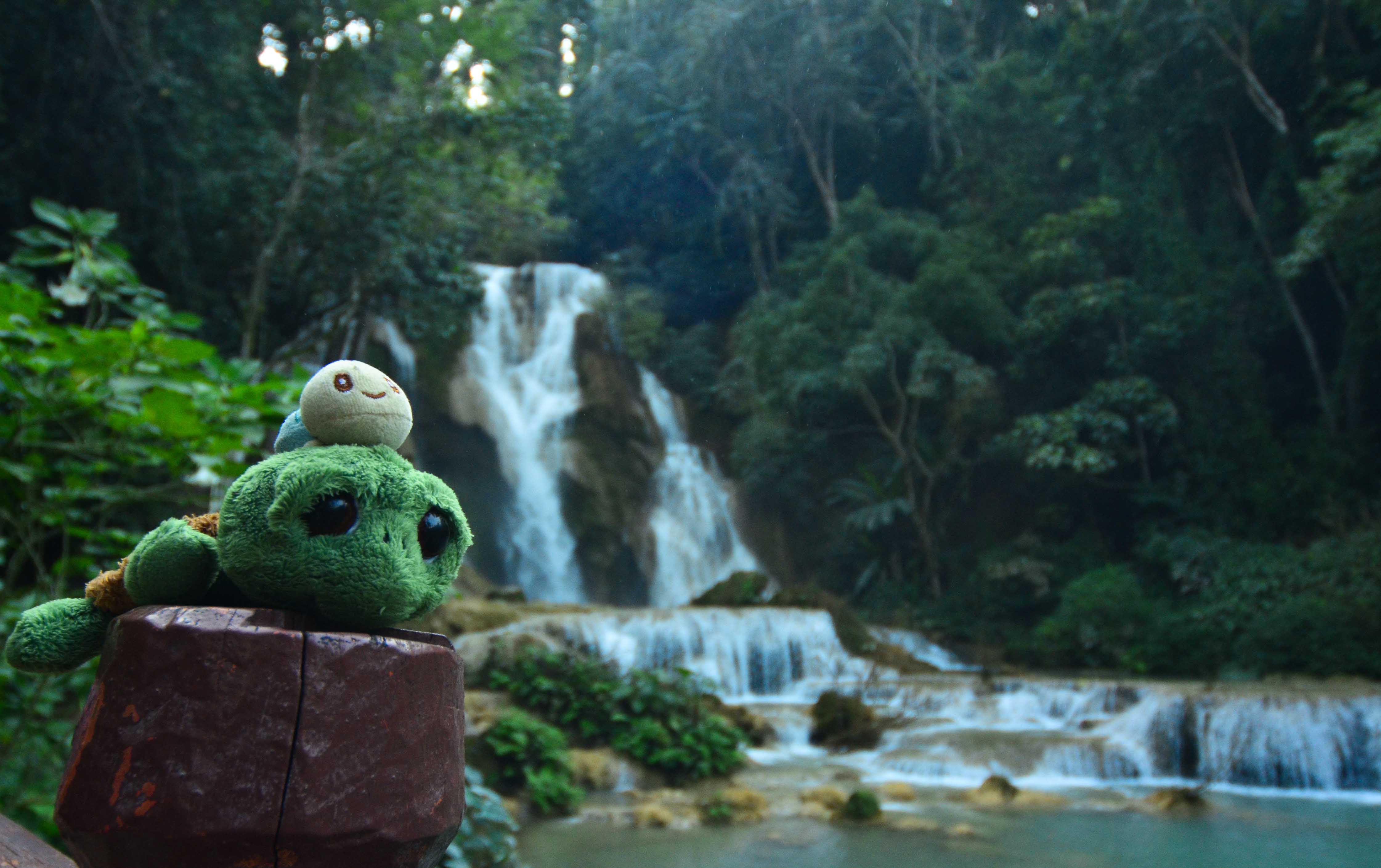 Tropical Waterfall Wallpapers - Wallpaper Cave