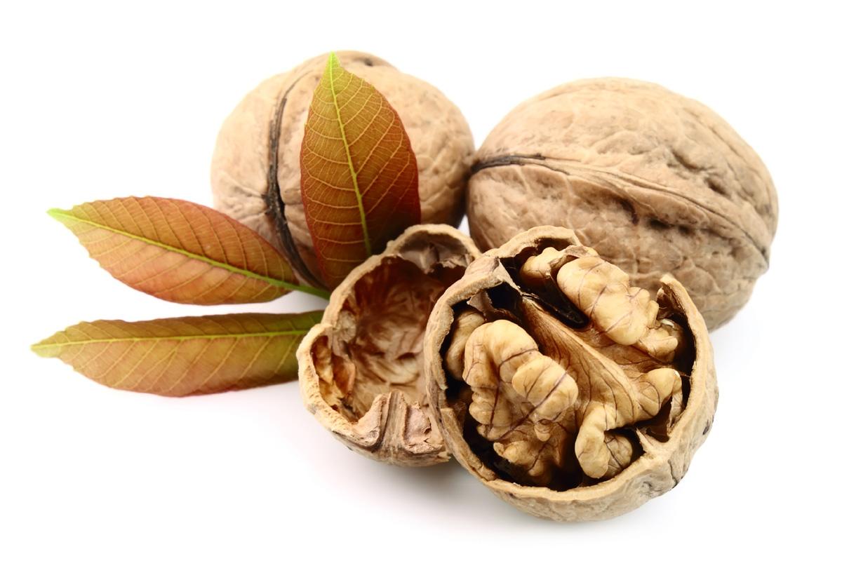 Honey Nut Wallpapers - Wallpaper Cave