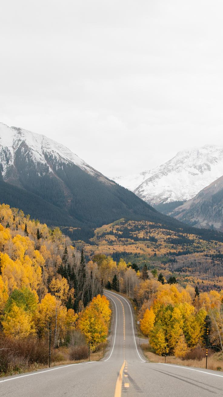 iPhone Wild Wallpapers - Wallpaper Cave