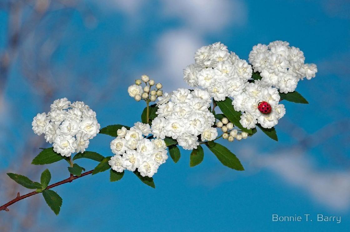 May Wallpapers - Wallpaper Cave