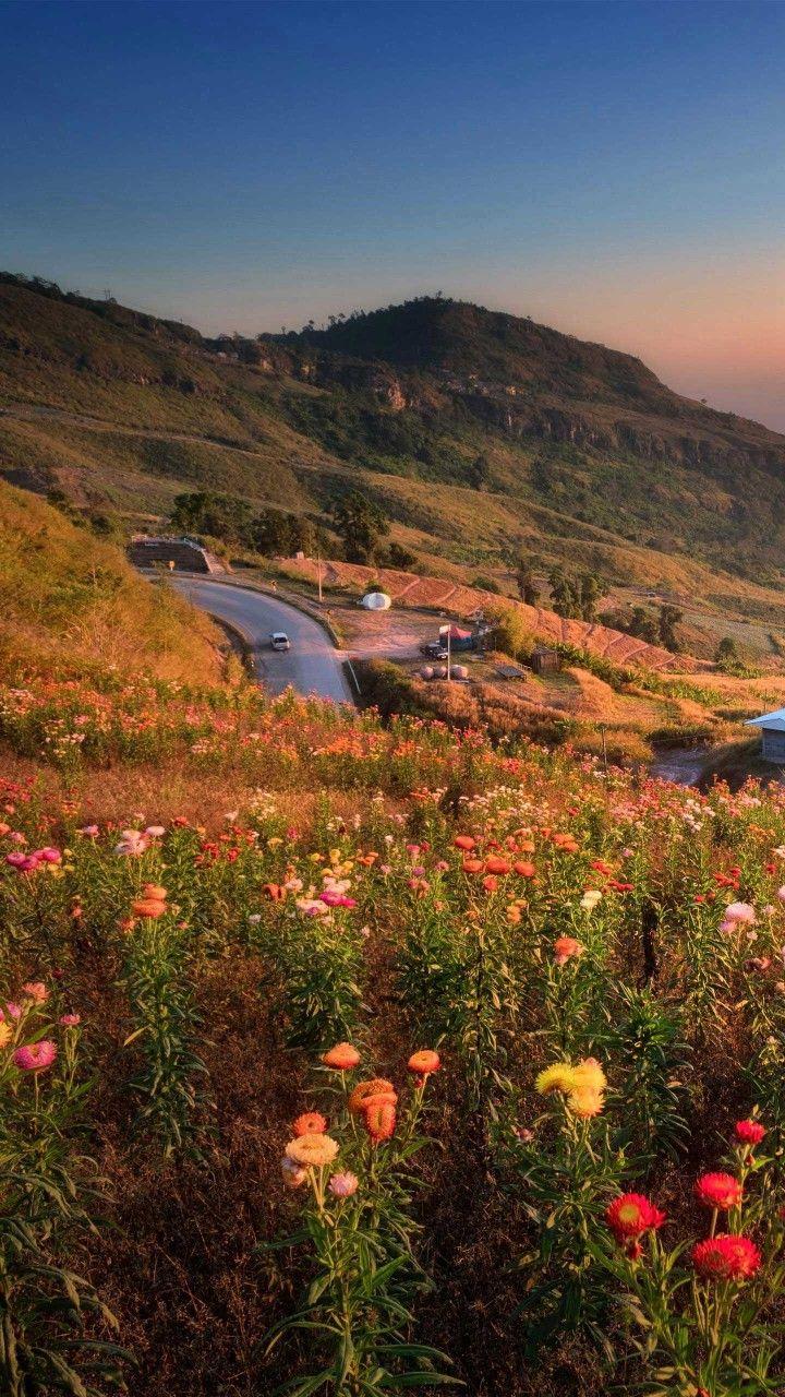 Hills Wallpapers - Wallpaper Cave