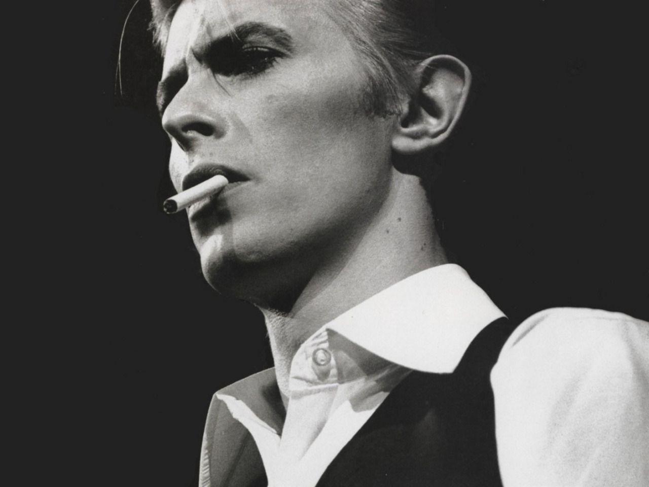 The Thin White Duke Wallpapers - Wallpaper Cave
