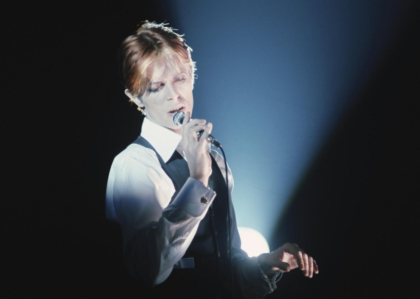 The Thin White Duke Wallpapers - Wallpaper Cave