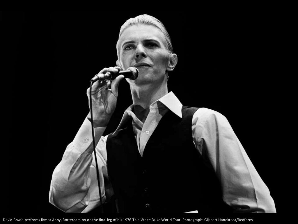 The Thin White Duke Wallpapers - Wallpaper Cave