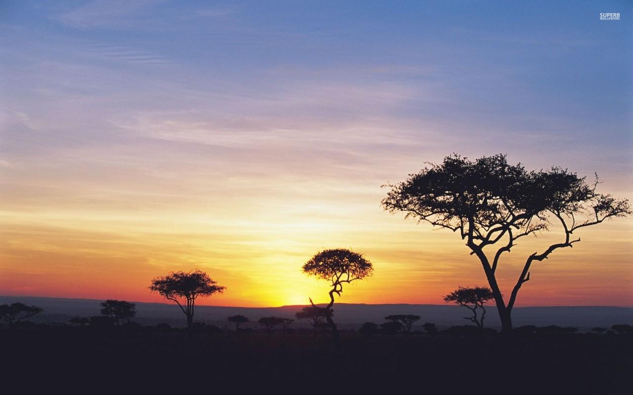 Sunset Safari Wallpapers - Wallpaper Cave
