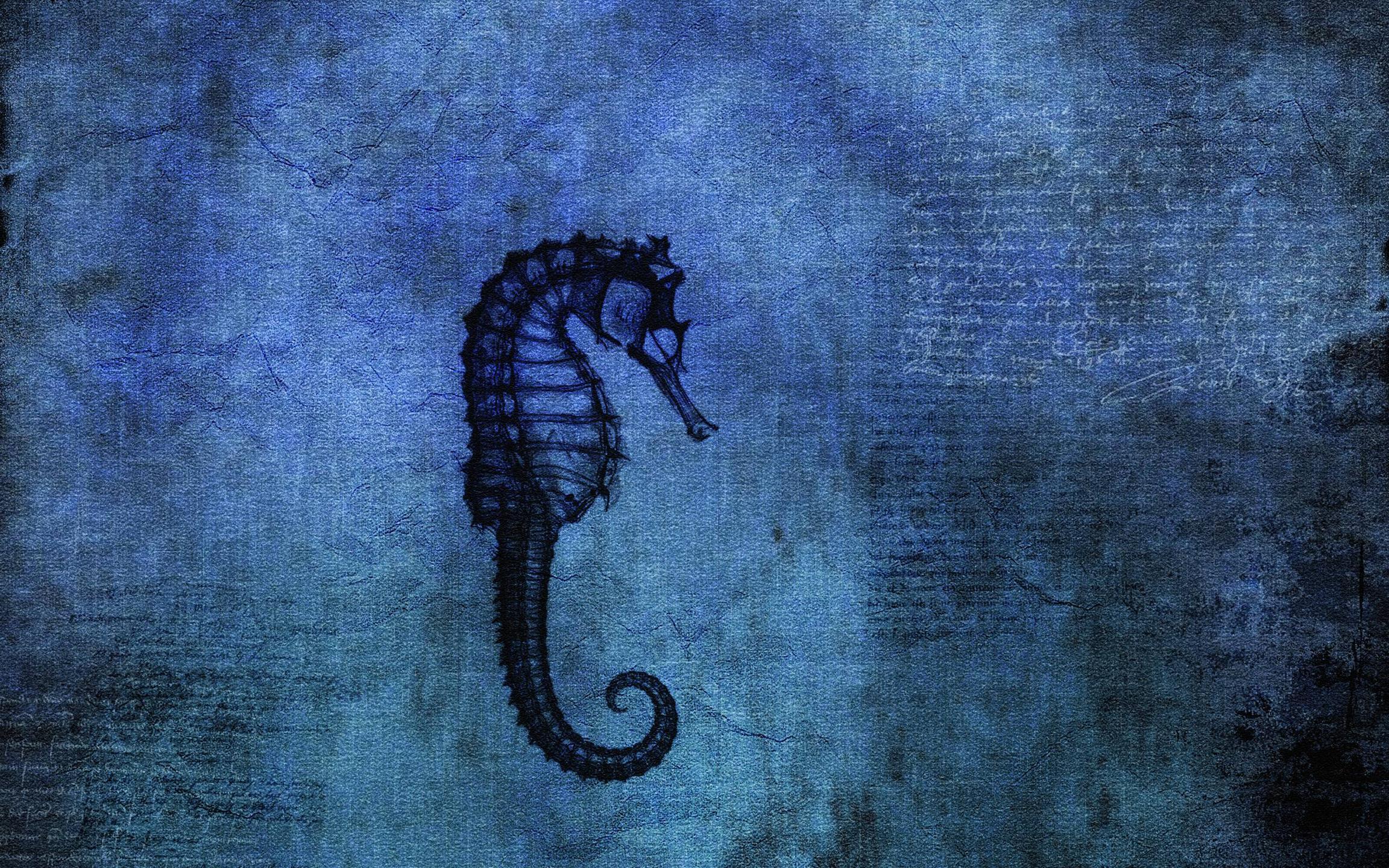 Seahorse Wallpapers - Wallpaper Cave