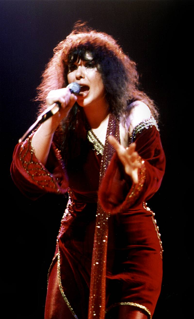 Ann Wilson Wallpapers - Wallpaper Cave