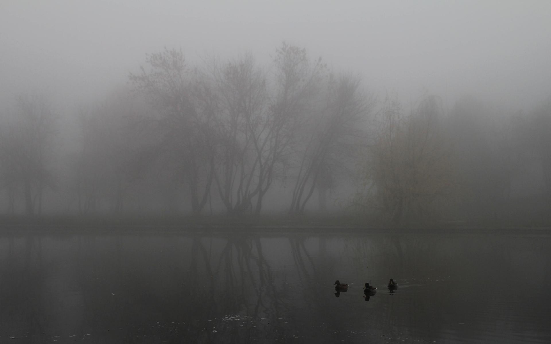 Mist Wallpapers Wallpaper Cave Mist Wallpapers Wallpaper Cave
