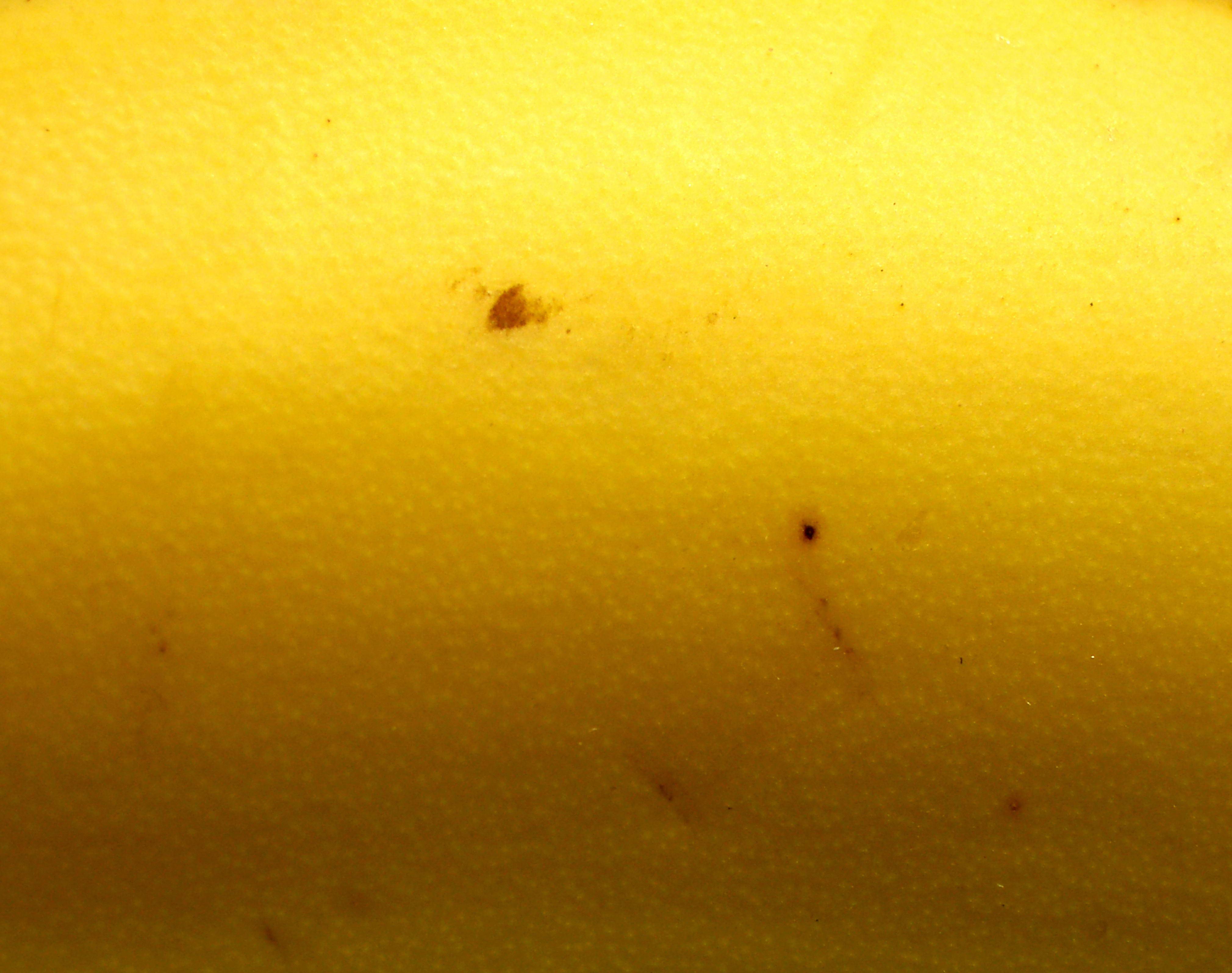 Banana Skin Wallpapers - Wallpaper Cave