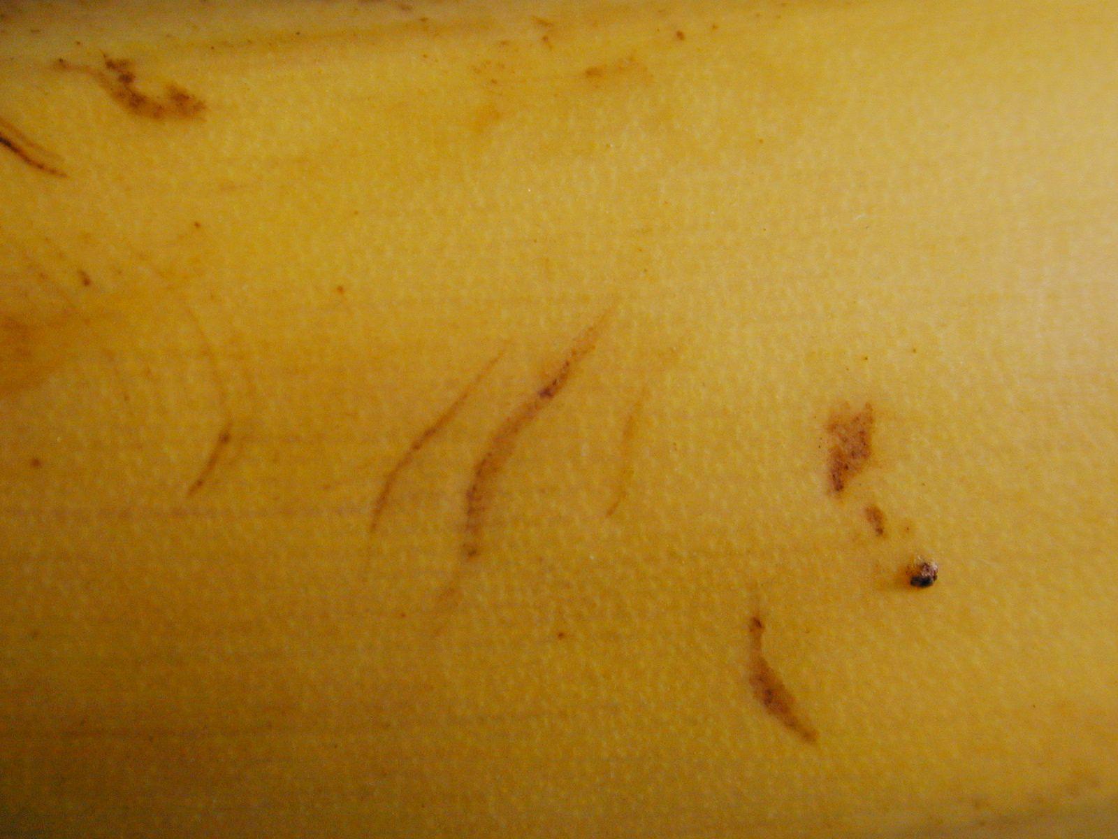 Banana Skin Wallpapers - Wallpaper Cave