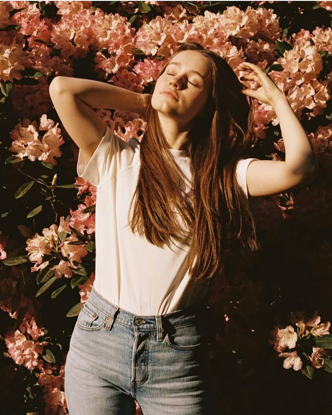 Sigrid Wallpapers - Wallpaper Cave