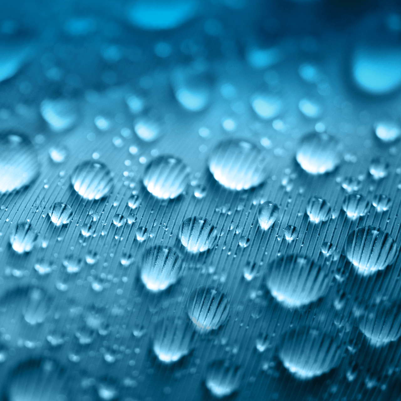 Alpha Wallpapers - Wallpaper Cave