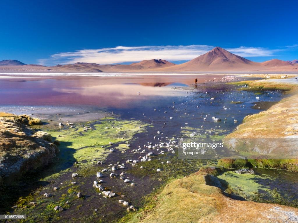 Laguna Colorada Wallpapers - Wallpaper Cave