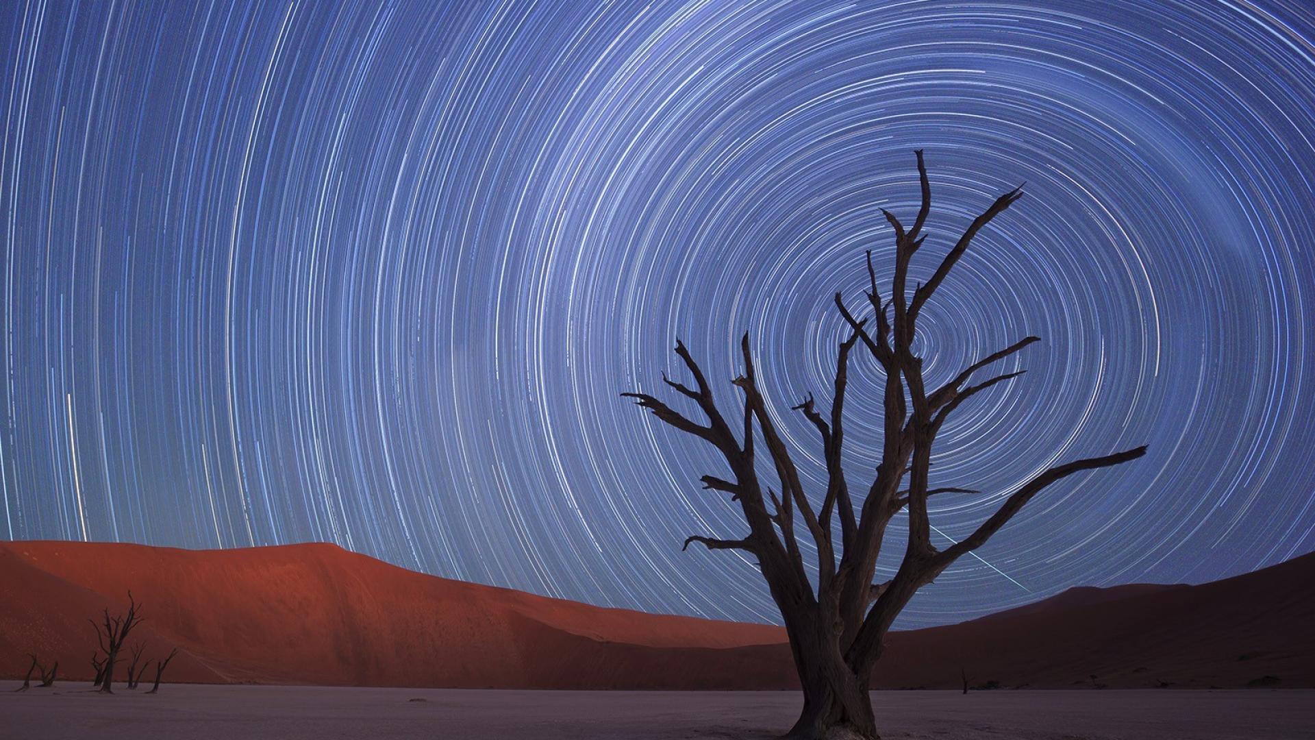 Tree Night Star Trail Wallpapers Wallpaper Cave